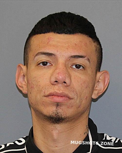 CARDOZA BRIAN OSVALDO - 53151 01/11/2024 - Cooke County Mugshots Zone