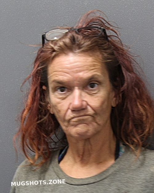 ROBERSON HOLLY JANETTE 07/03/2024 - Cooke County Mugshots Zone