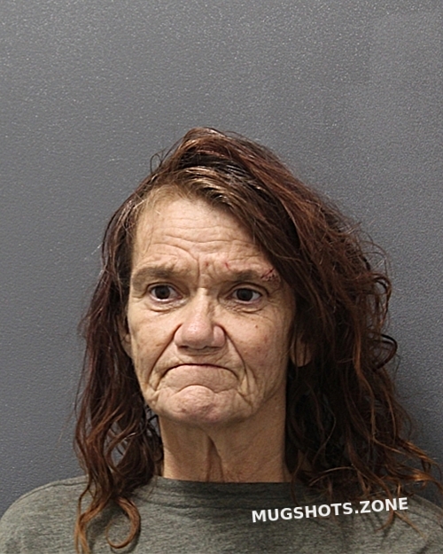 ROBERSON HOLLY JANETTE 09/12/2024 - Cooke County Mugshots Zone