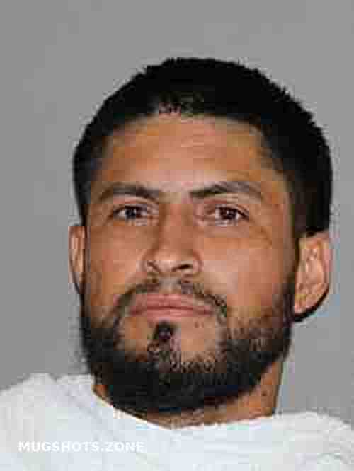 NOGUEZ-ESTRADA RAMON 03/14/2025 - Cooke County Mugshots Zone