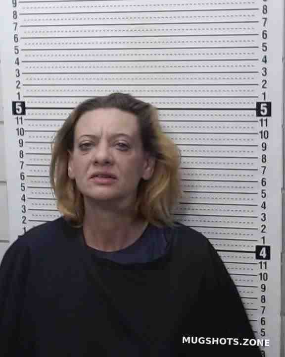 YOUNG AMY RENEE 03/18/2025 - Cooke County Mugshots Zone