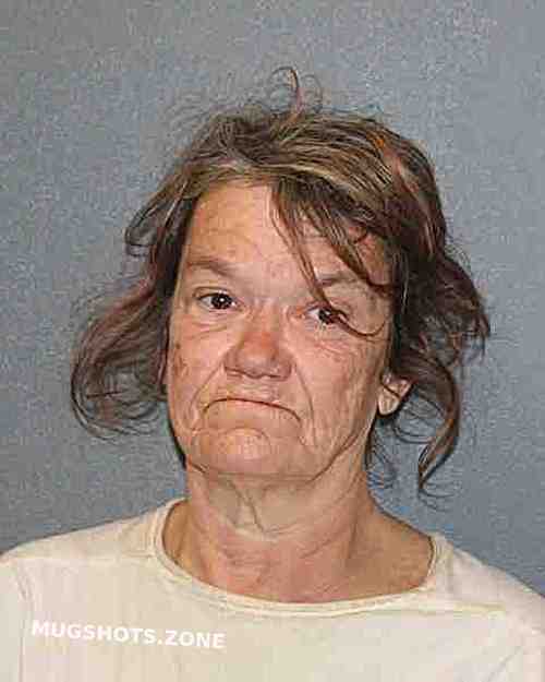 ROBERSON HOLLY JANETTE 03/19/2025 - Cooke County Mugshots Zone