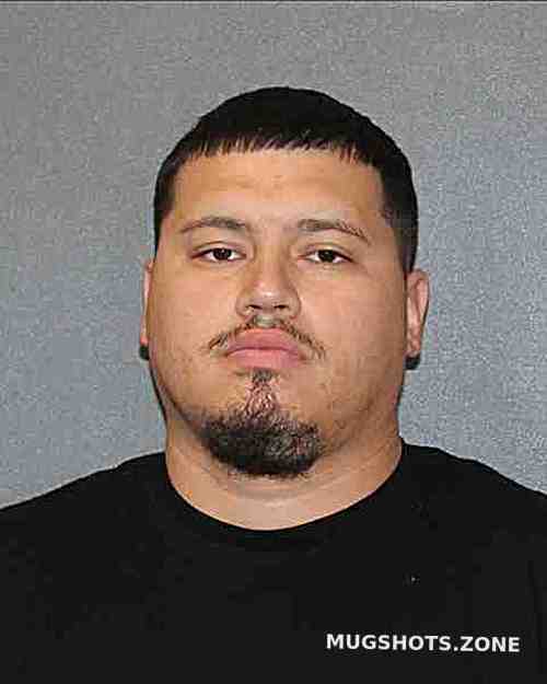 JIMENEZ HENRY ARIEL 04/11/2025 - Cooke County Mugshots Zone