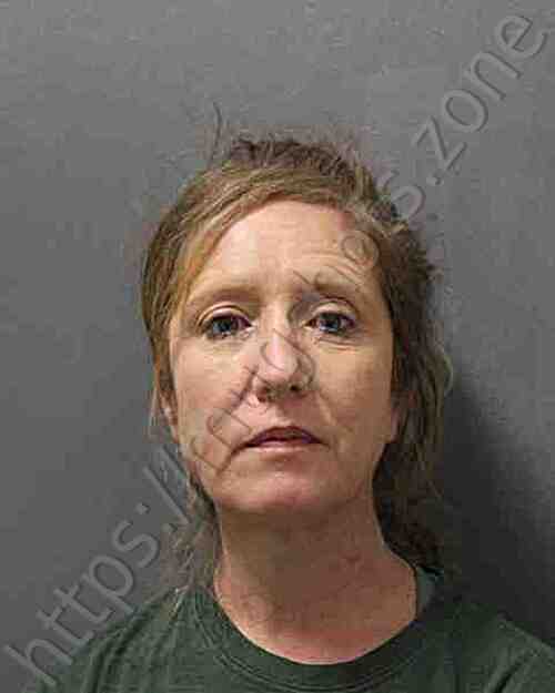 SICKING DAISY ANN 03/15/2026 - Cooke County Mugshots Zone