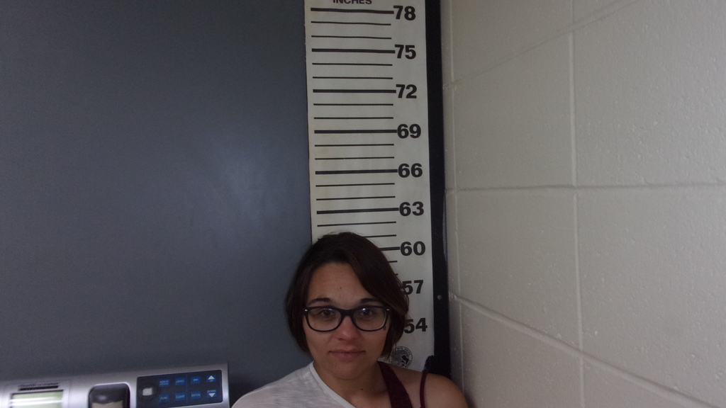 LEE KAYLA DANIELLE 04/16/2021 - Covington County Mugshots Zone