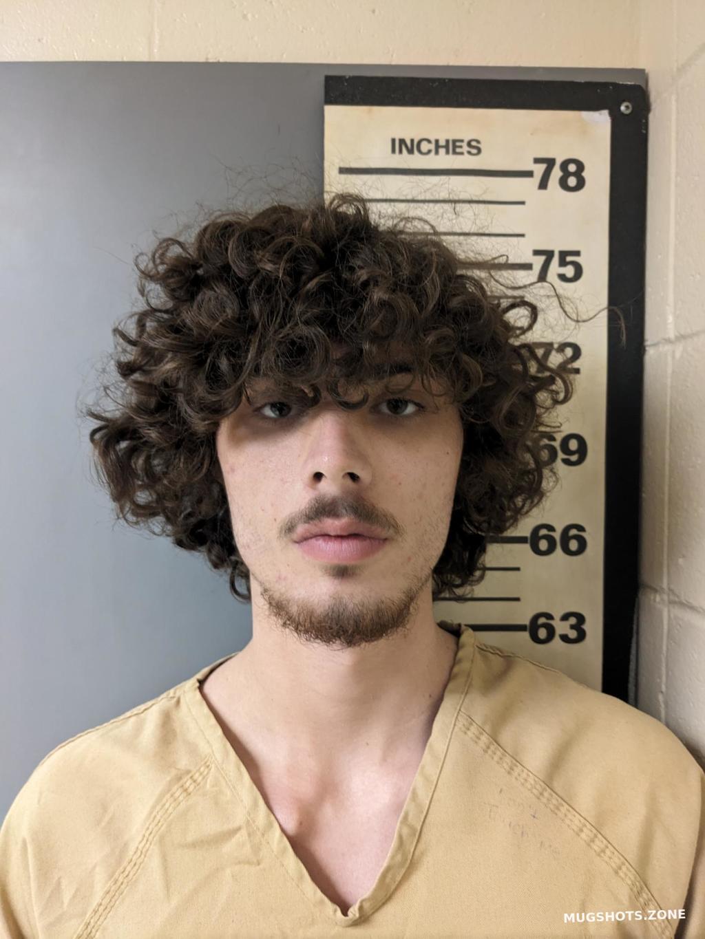 SELLERS ALEXZANDER BLADE 01/13/2025 - Covington County Mugshots Zone