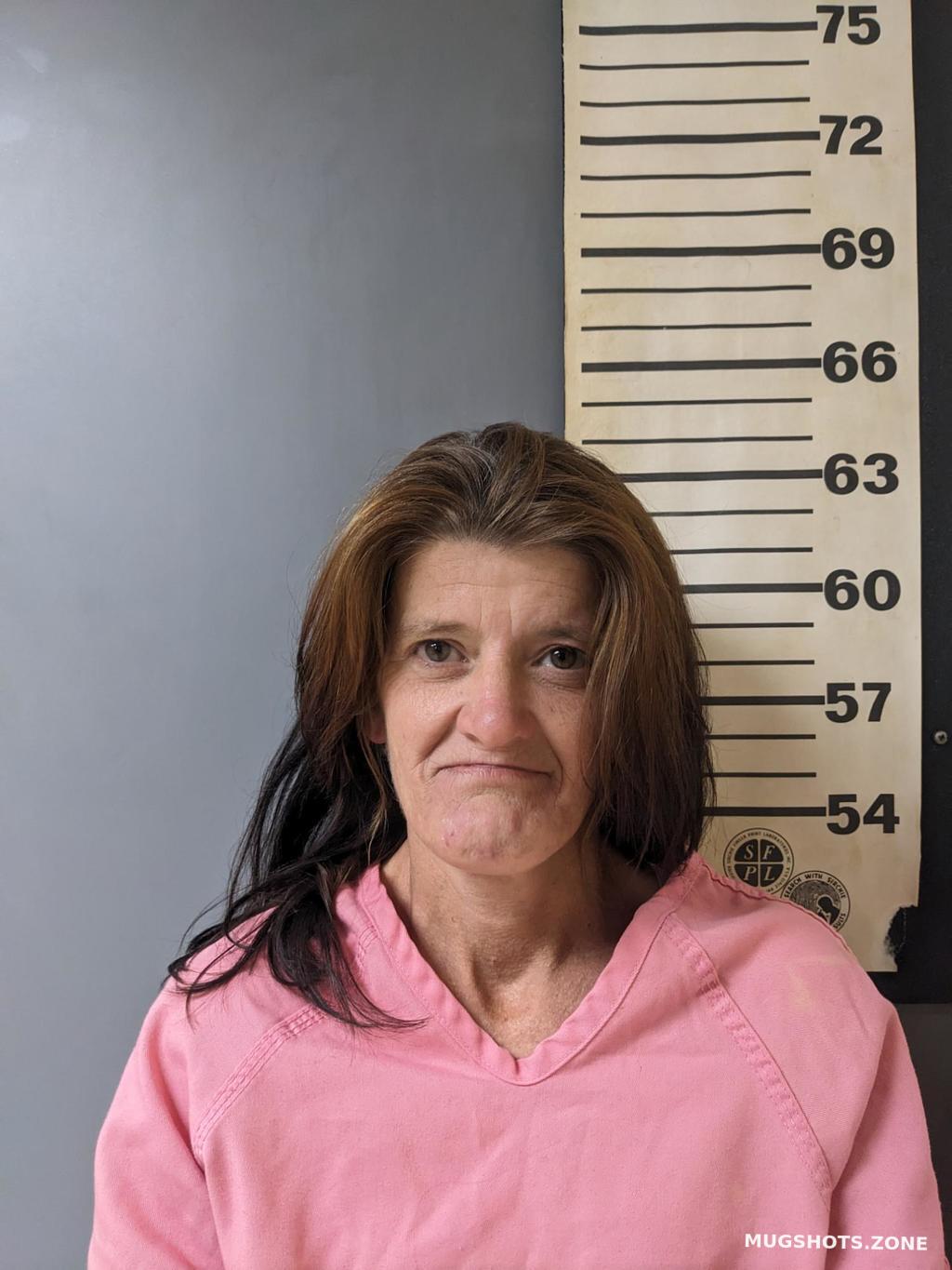 DAVIS AMANDA GAIL 04/13/2025 - Covington County Mugshots Zone