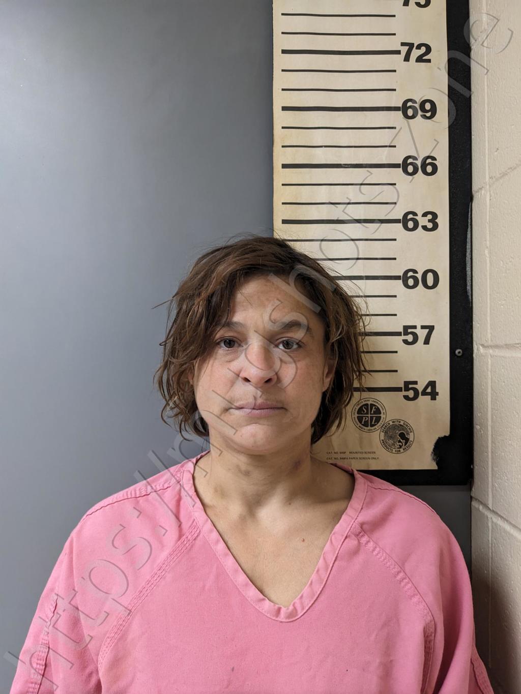 REAVES JESSICA ODELL 03/18/2026 - Covington County Mugshots Zone