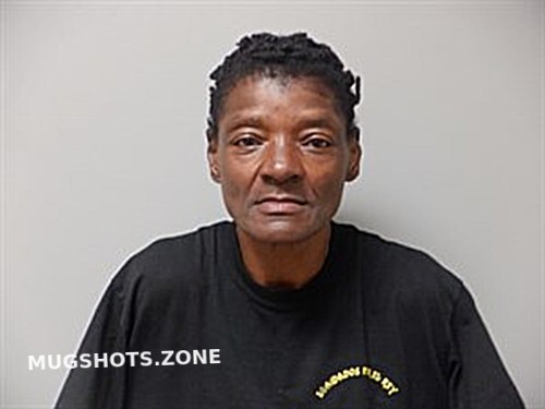 BOGAN ANN MARIE 04/23/2023 - Craighead County Mugshots Zone