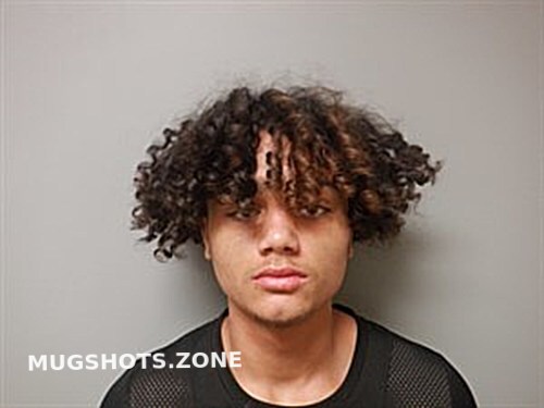 GREER LANDEN MILLER 10/13/2024 - Craighead County Mugshots Zone