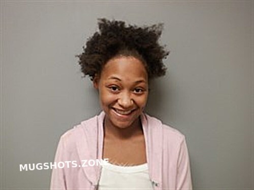 JENKINS EVAN NICOLE 11/22/2024 - Craighead County Mugshots Zone