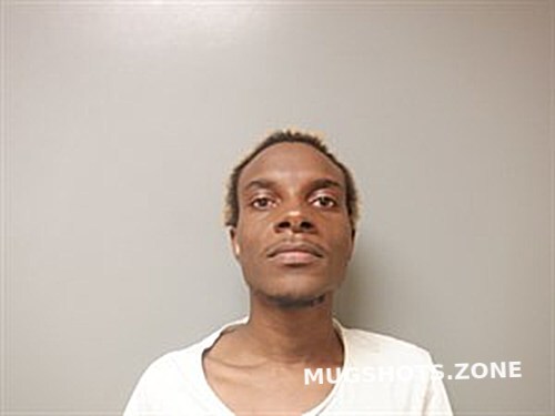 ROBINSON BRANDON TYLER 04/15/2025 - Craighead County Mugshots Zone