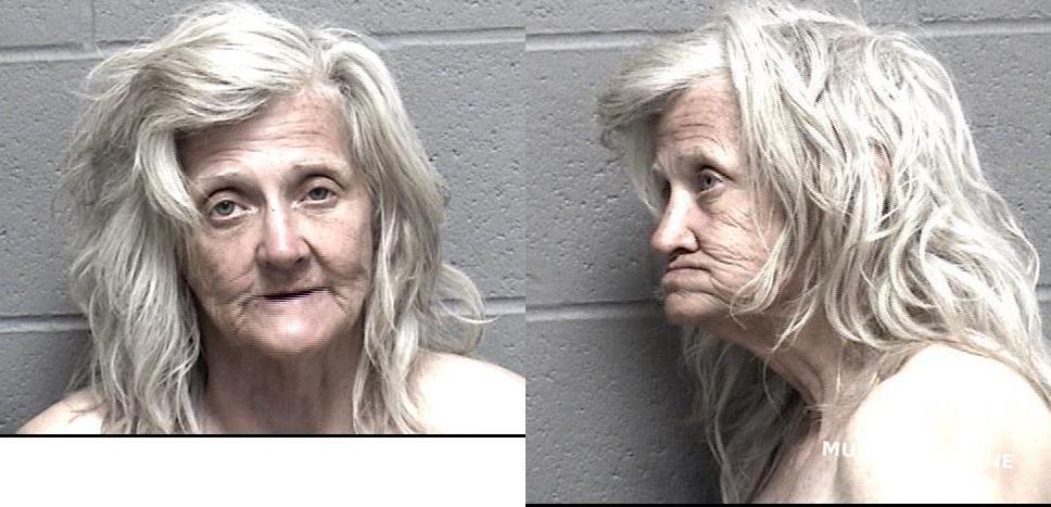 GALLUP DIANE LOUISE 05/25/2023 - Crawford County Mugshots Zone