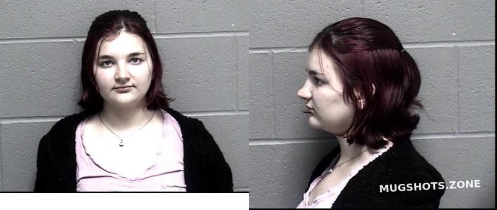 LEWIS EMILY NICOLLE 06/18/2024 - Crawford County Mugshots Zone