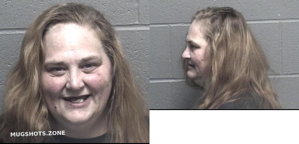 LAEVENSTEIN TAMI SUE 10/17/2024 - Crawford County Mugshots Zone