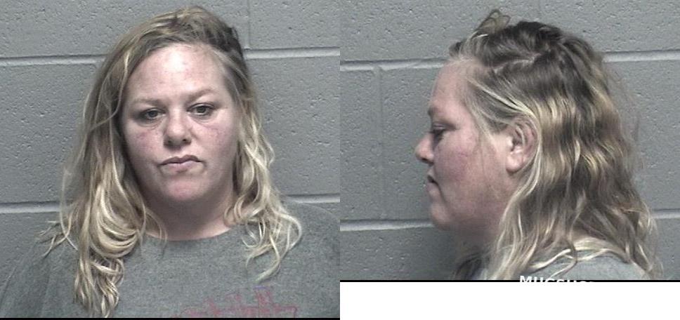 ROSE SHAUNA BETH 11/03/2024 - Crawford County Mugshots Zone