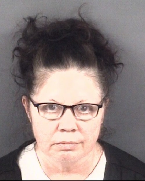 NEWSOM JANET JOHNSON 03/25/2021 - Cumberland County Mugshots Zone