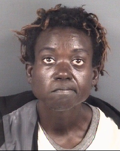 DESIR SANDY 04/11/2021 - Cumberland County Mugshots Zone