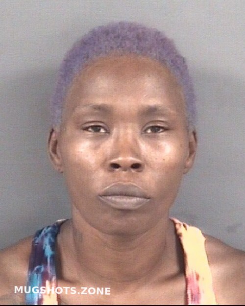 SNIPES STEPHANIE RENEE 06/01/2021 - Cumberland County Mugshots Zone