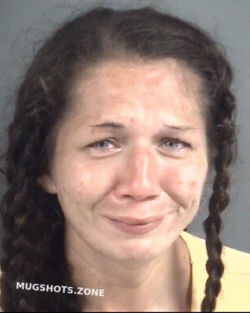 BREWINGTON AMANDA MICHELLE 06/22/2021 - Cumberland County Mugshots Zone