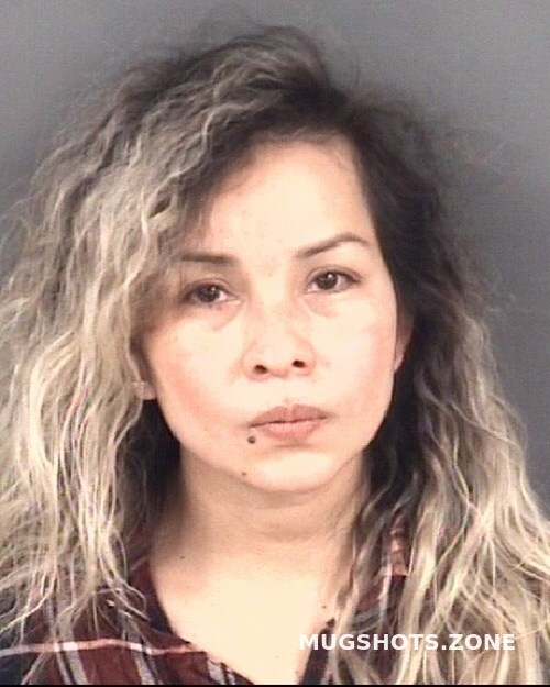 OLIVARES SANDY LIZ 02/28/2022 - Cumberland County Mugshots Zone