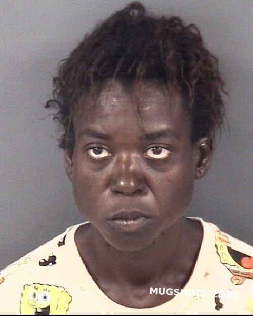 DESIR SANDY 06/08/2022 - Cumberland County Mugshots Zone