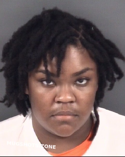 NEDD PAULENE ANGELA 07/09/2022 - Cumberland County Mugshots Zone