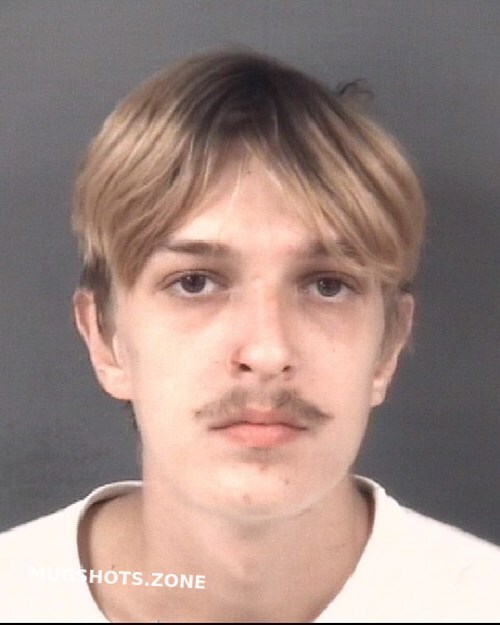 REAVES DAMIAN NICK 09/29/2022 - Cumberland County Mugshots Zone