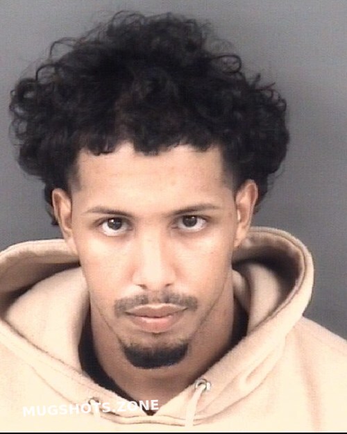 BURGOS ROSELLO ANGEL RENE 11/02/2022 - Cumberland County Mugshots Zone