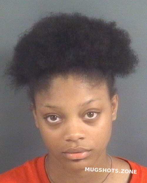 WATSON DILISA ALECIA 11/11/2022 - Cumberland County Mugshots Zone