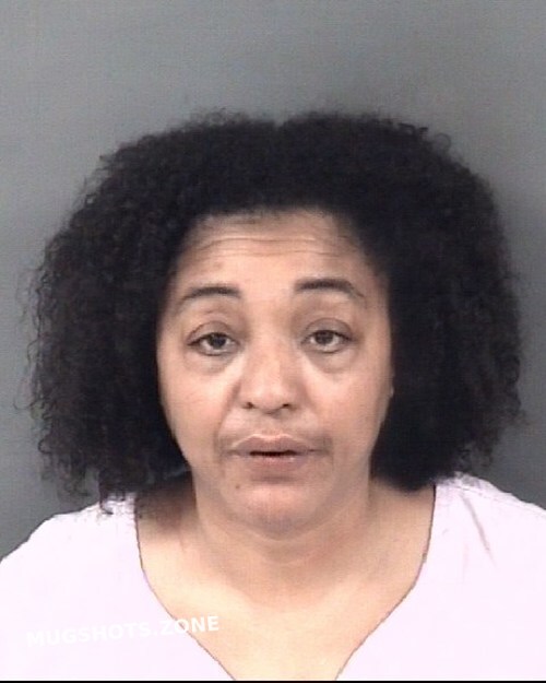 GARCIA CYNTHIA ELAINE 12/22/2022 - Cumberland County Mugshots Zone
