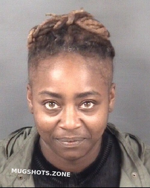 JOHNSON DANIELLE NICOLE 12/23/2022 - Cumberland County Mugshots Zone
