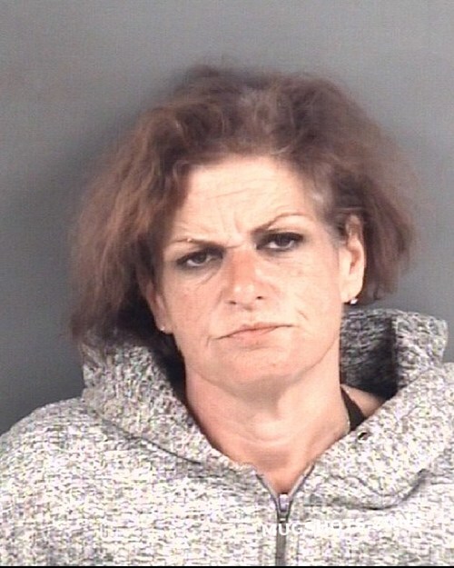 DAVIS LEIGH ANNE EZZELL 01/01/2023 - Cumberland County Mugshots Zone