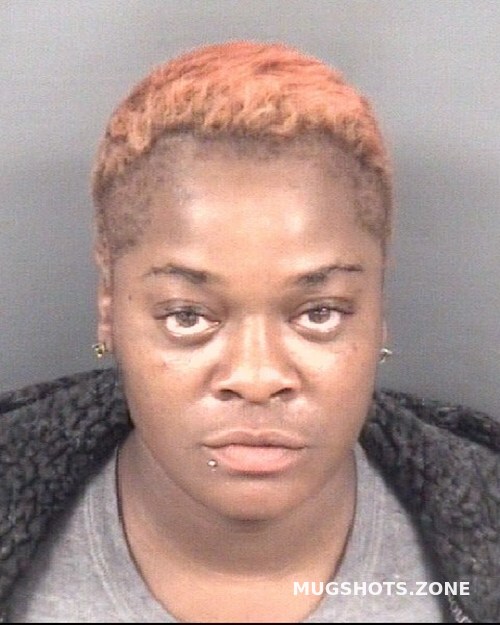 BROADWATER CARLISSA ALLEN 01/09/2023 - Cumberland County Mugshots Zone