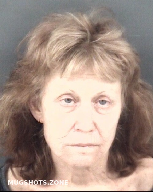 MCGEE PEGGY SWINSON 02/22/2023 - Cumberland County Mugshots Zone