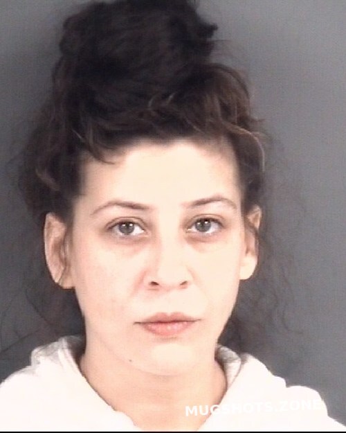 RYE LESLIE NICOLE 04/27/2023 - Cumberland County Mugshots Zone