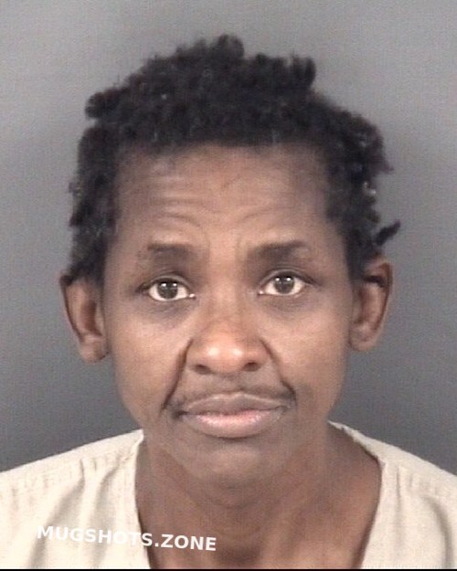 FERGUSON CYNTHIA DENISE 04/28/2023 - Cumberland County Mugshots Zone