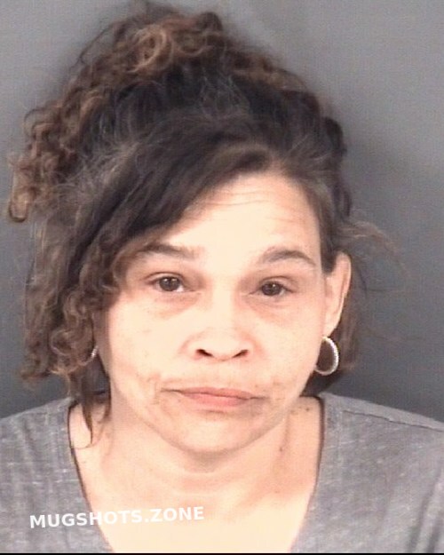 JONES TAMMY RENEE 05/12/2023 - Cumberland County Mugshots Zone