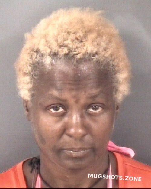 DAVIS SANDRA LEENETTE 05/24/2023 - Cumberland County Mugshots Zone