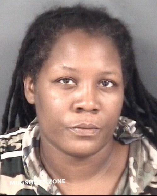 LEWIS DANIELLE DENISE 08/25/2023 - Cumberland County Mugshots Zone