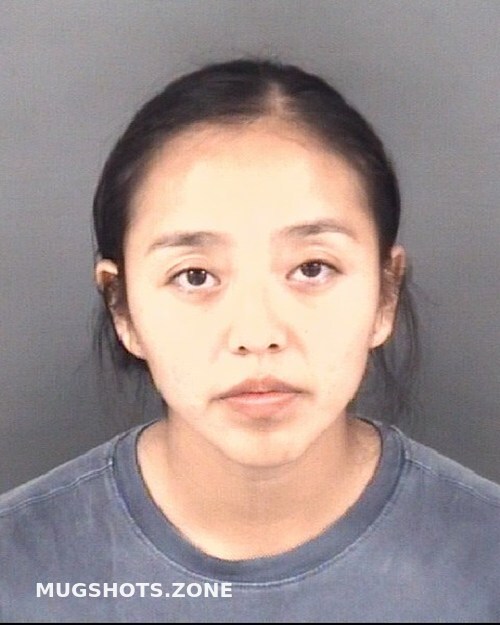 JAMES TIERRA RENATA 11/17/2023 - Cumberland County Mugshots Zone