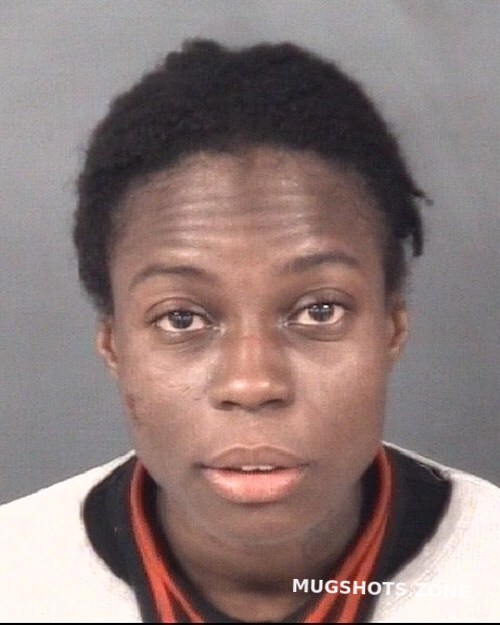 GAYLE ASHLEY 11/20/2023 - Cumberland County Mugshots Zone