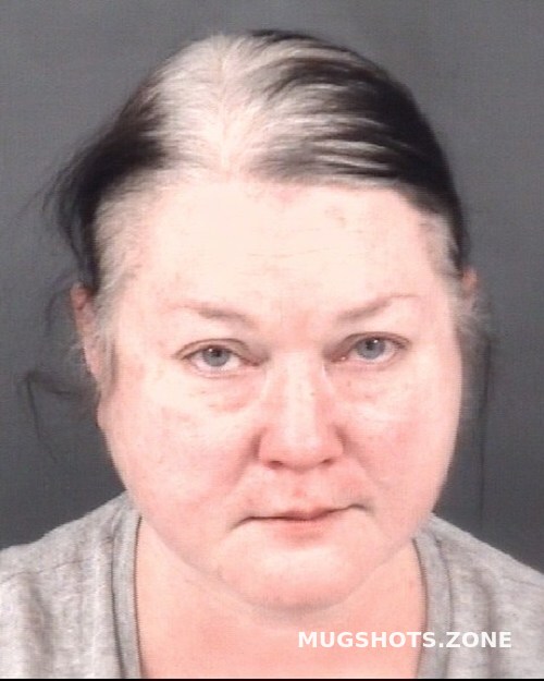 SCHMIDT AIMEE CHRISTINE 01/05/2024 - Cumberland County Mugshots Zone