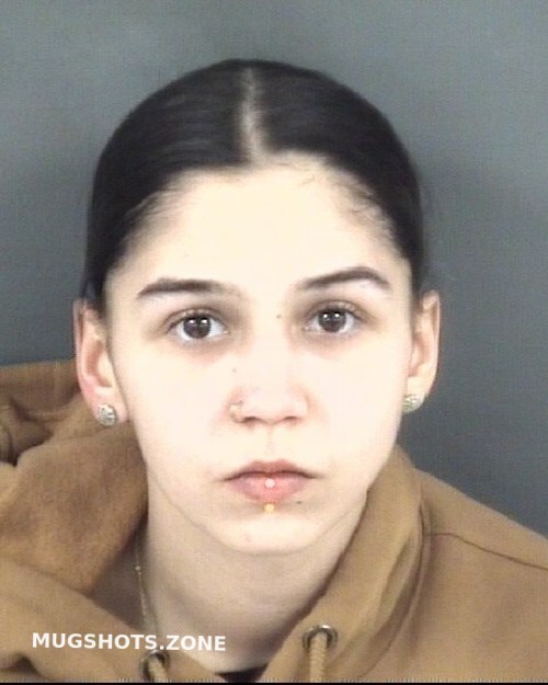 DRIGGERS SHYLAN MICHELLE 01/15/2024 - Cumberland County Mugshots Zone