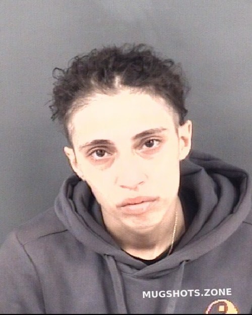 GARCIA CRYSTAL ESMERALDA 01/19/2024 - Cumberland County Mugshots Zone