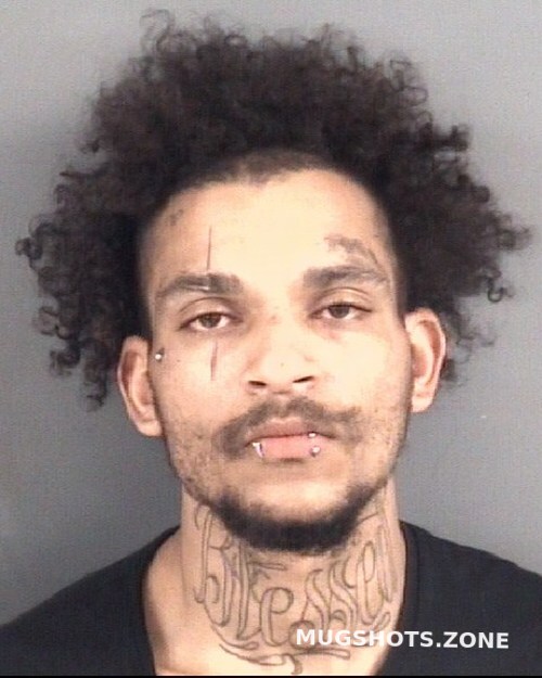 REED CHARLES ANTHONY 01/28/2024 - Cumberland County Mugshots Zone