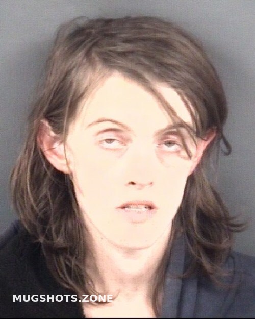 REVIER BRENDA LYNN 02/17/2024 - Cumberland County Mugshots Zone