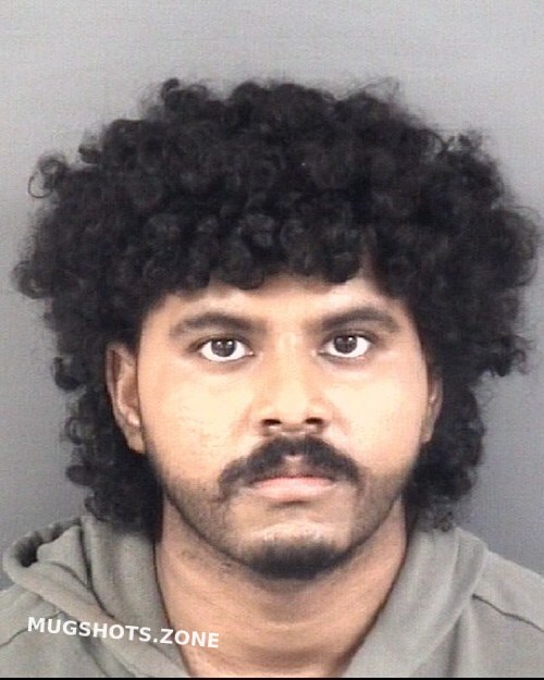 Ravikumar Ragavendar 03 07 2024 Cumberland County Mugshots Zone