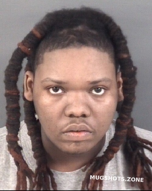 WILLIAMS MCNEILL TYLIQE LAMONTAE 03/10/2024 - Cumberland County ...