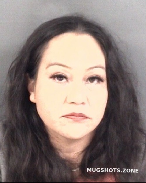 RUBIO PATRICIA 03/12/2024 - Cumberland County Mugshots Zone RUBIO PATRICIA 03/12/2024 - Cumberland County Mugshots Zone